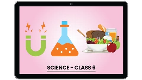 EduSaksham - Your Guide for Online Preparation